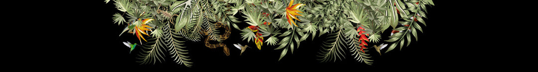 Aztec Rum – Aztec Gold Rum