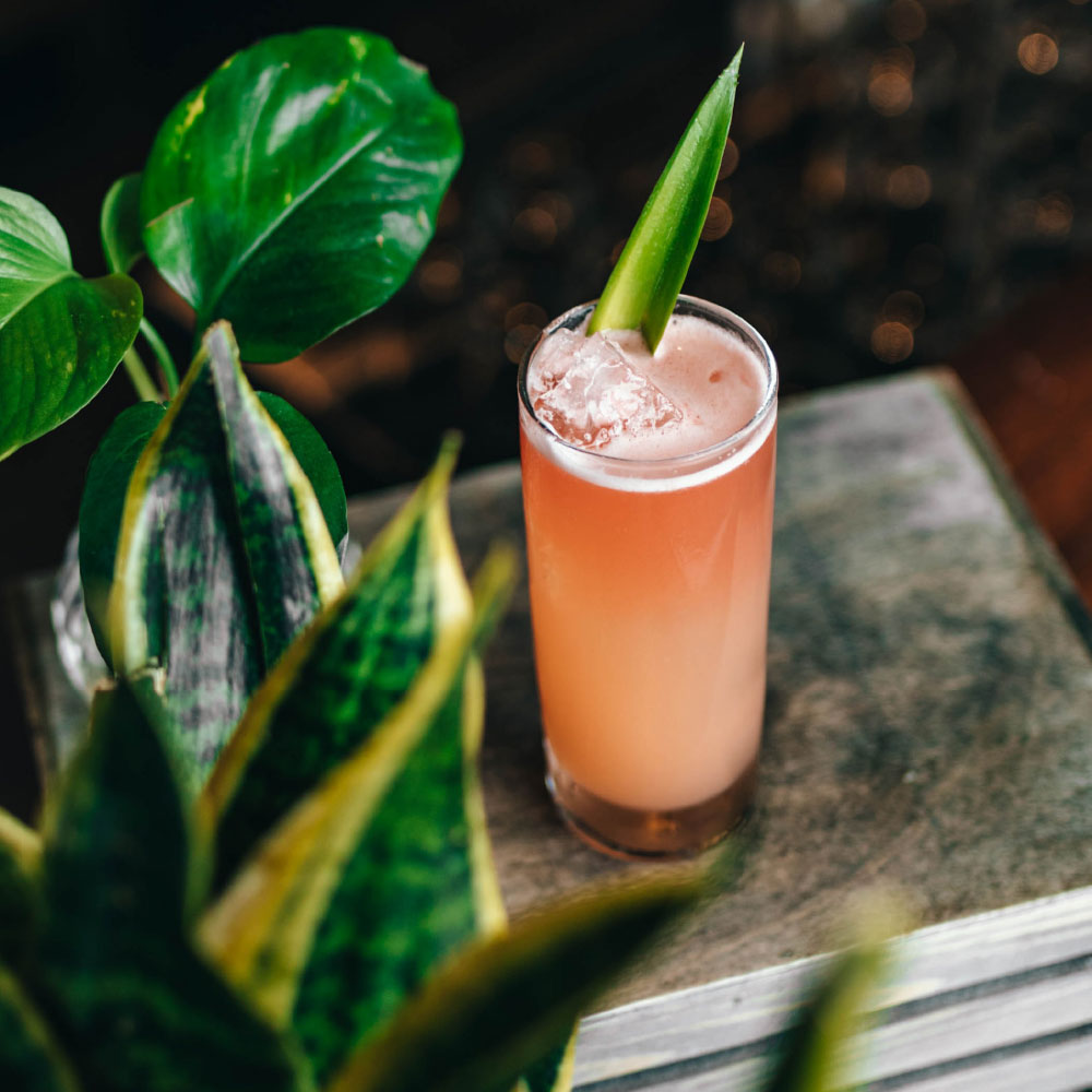 Cocktails – Aztec Gold Rum